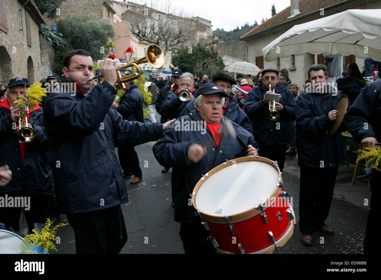 traditional marching band at the annual Mimosa Festival held in the ...