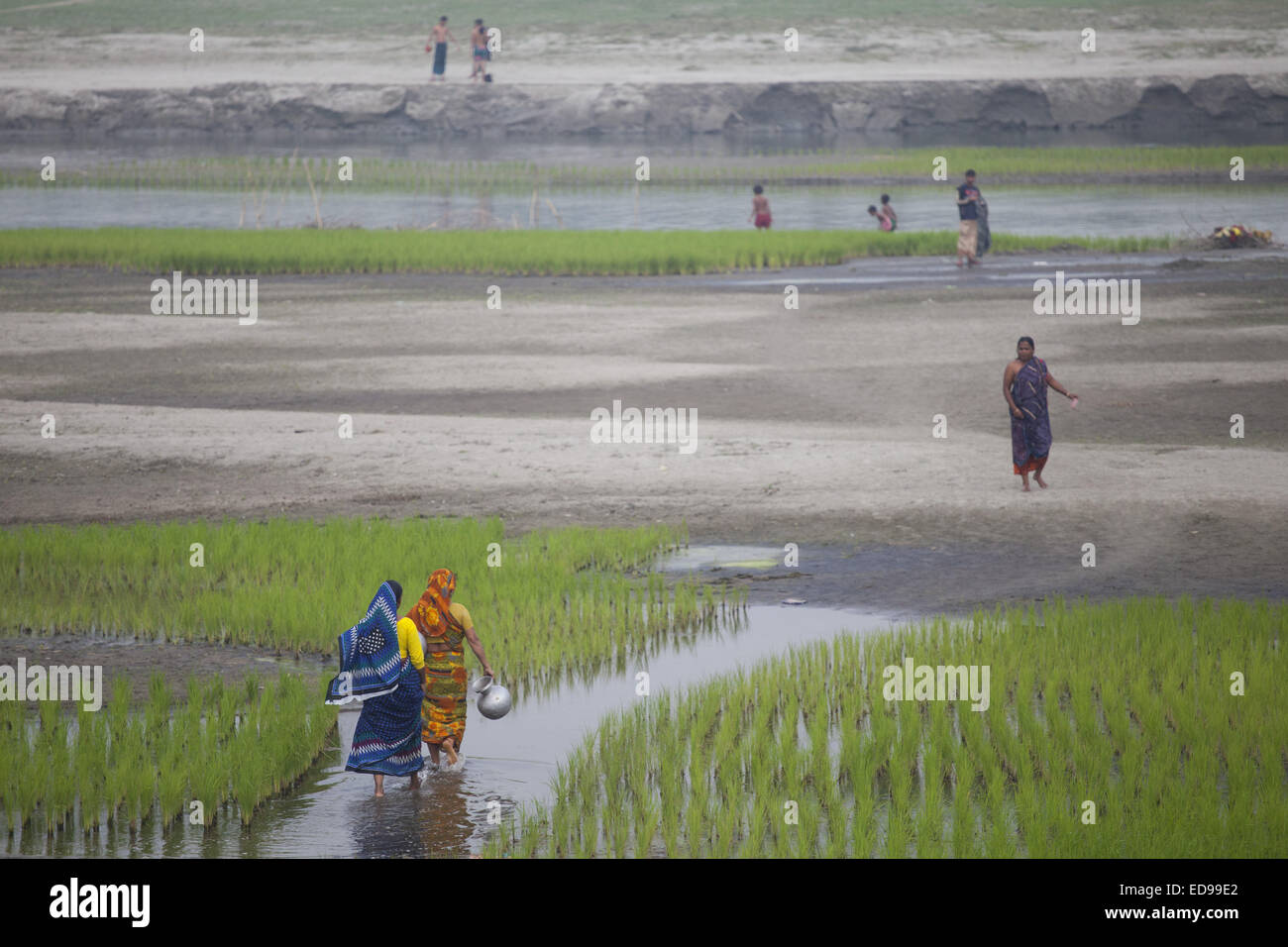Manikgonj Bangladesh High Resolution Stock Photography and Images - Alamy