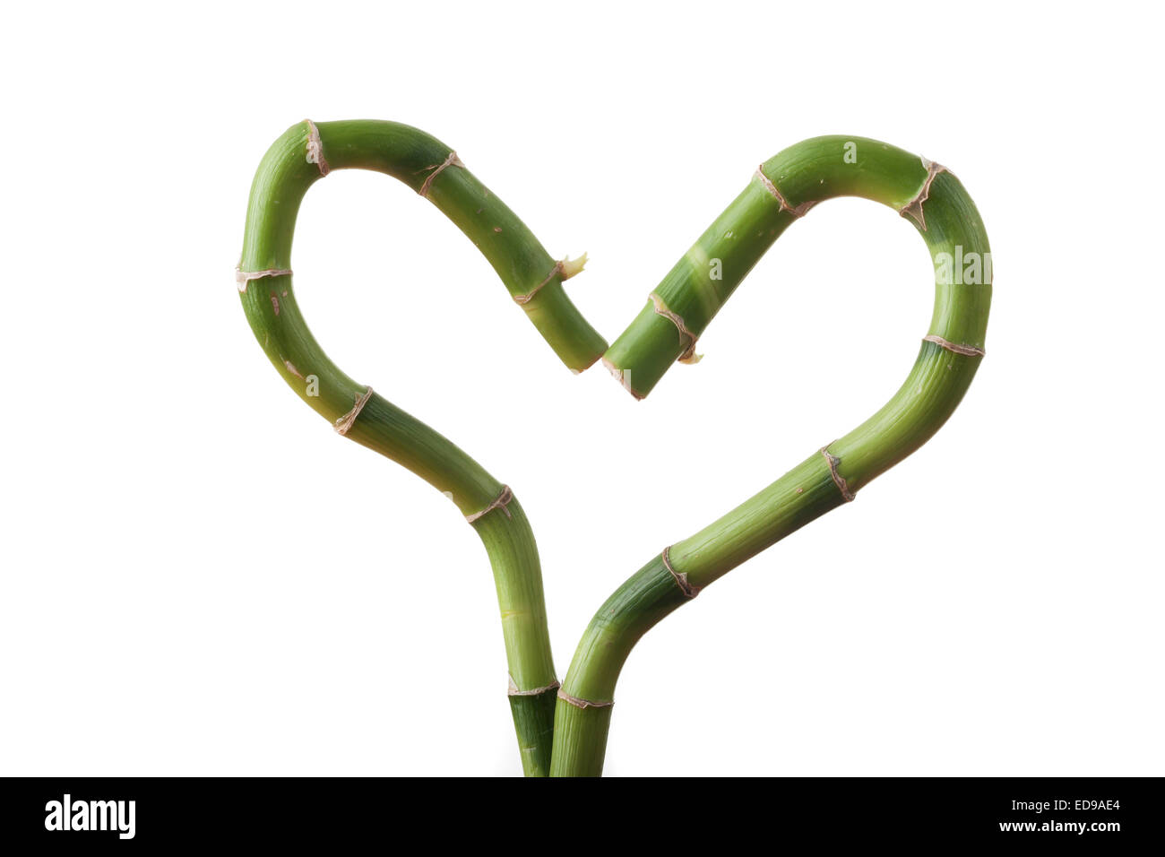 bamboo heart isolated on white Stock Photo - Alamy