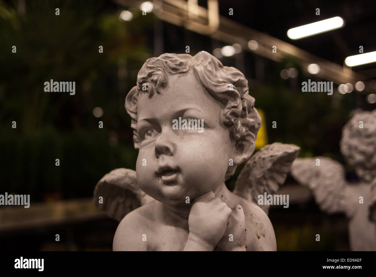 Male angel hi-res stock photography and images - Alamy