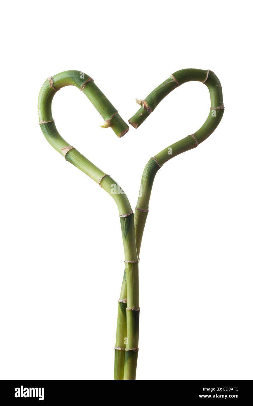 bamboo heart isolated on white Stock Photo - Alamy