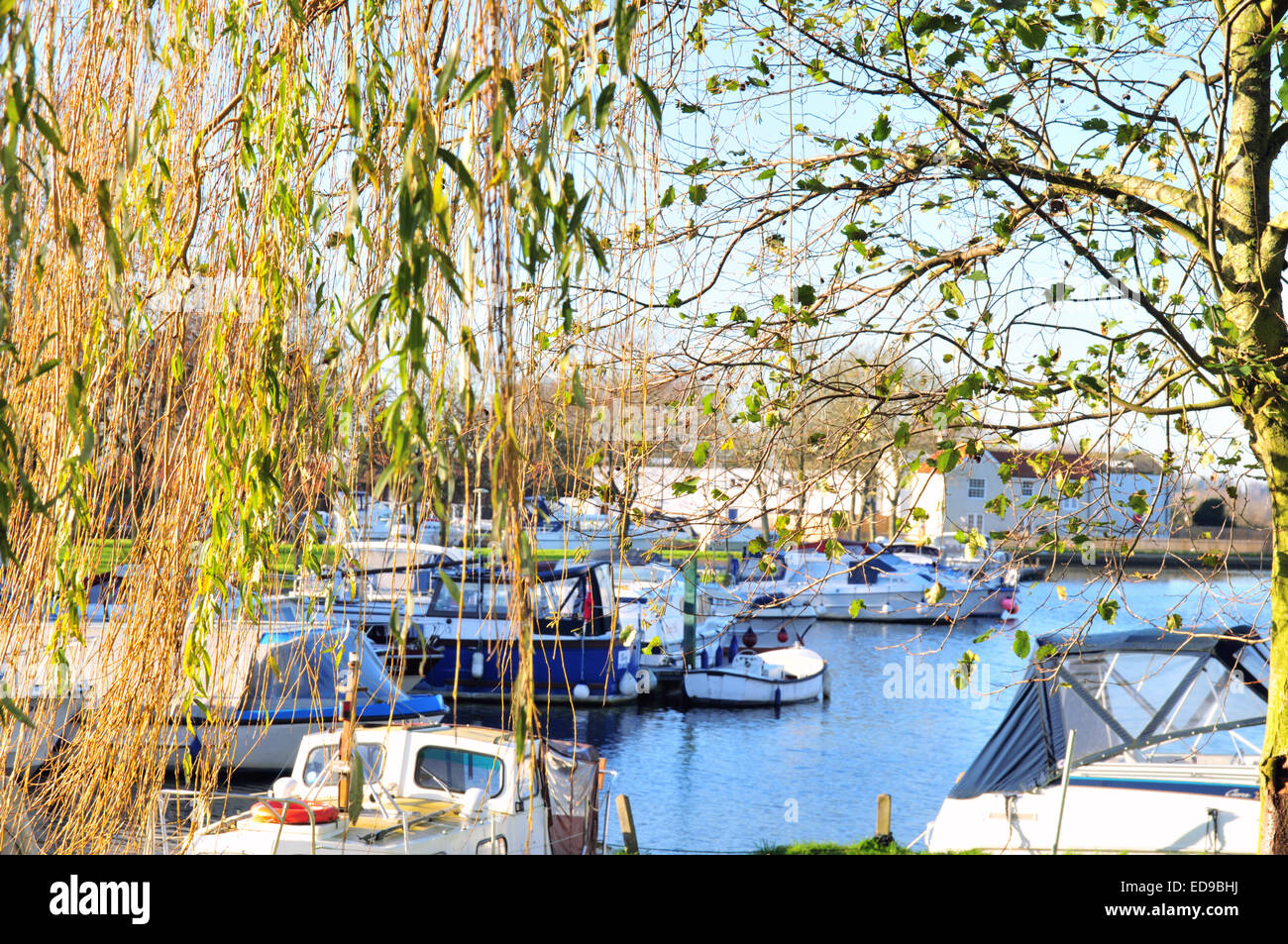 Moorings beccles hi-res stock photography and images - Alamy