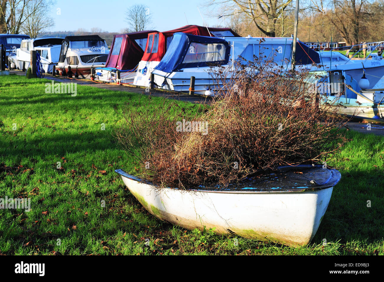 Boats moored at Beccles Quay Stock Photo - Alamy