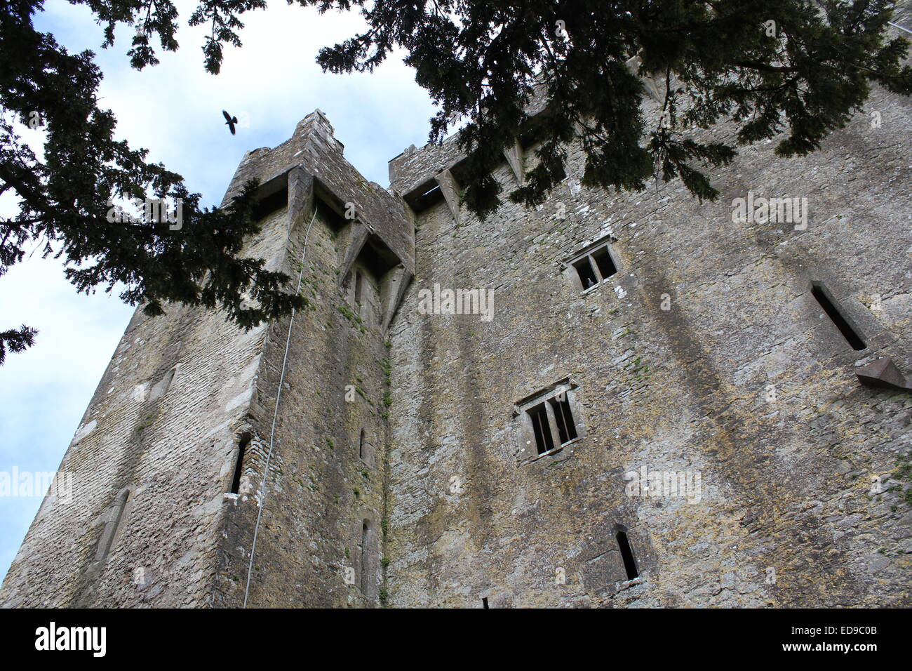 High turrets on Blarney Castle with a crow in mid flight Stock Photo ...
