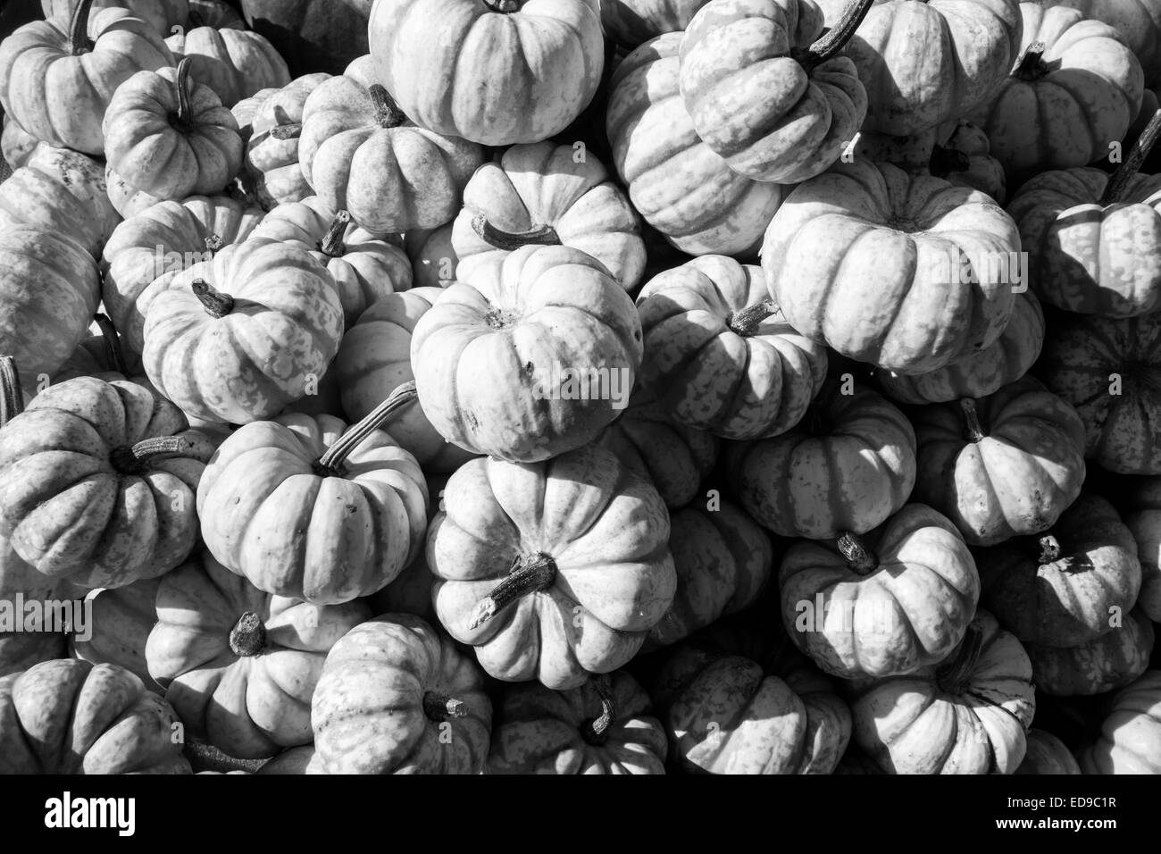 Market pile Black and White Stock Photos & Images - Alamy