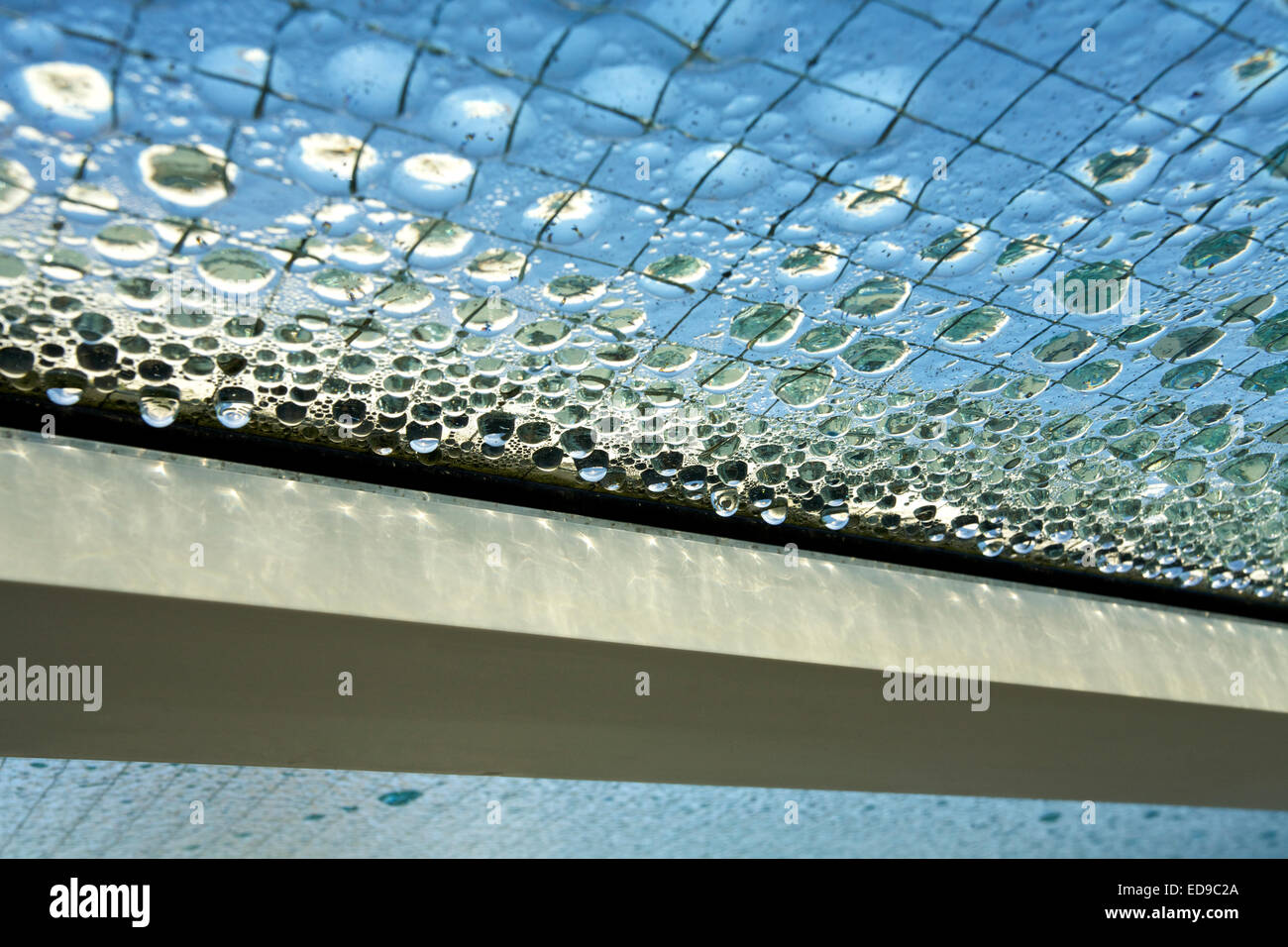Condensation droplets on underside of single-glazed glass roof Stock ...