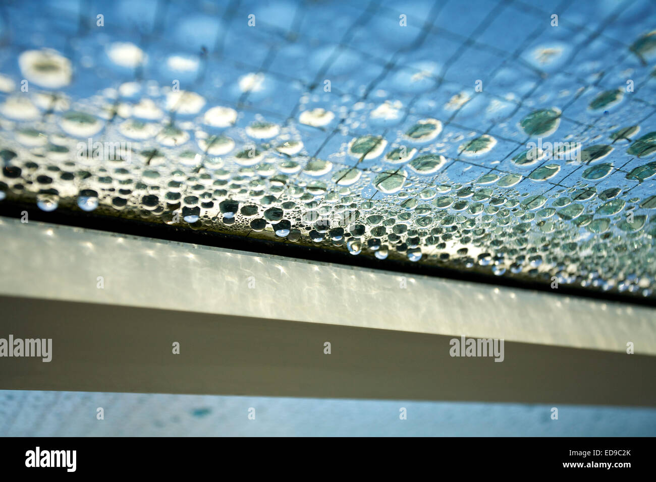Condensation droplets on underside of single-glazed glass roof Stock ...