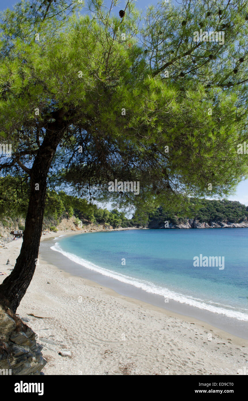 Staphylos or Stafilos beach, Skopelos. October Stock Photo - Alamy