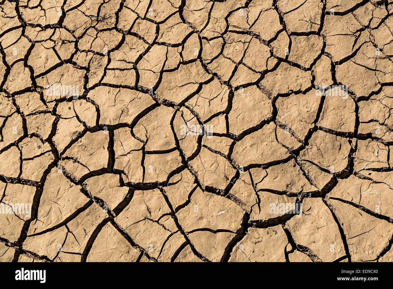 Dry mud cracks hi-res stock photography and images - Alamy