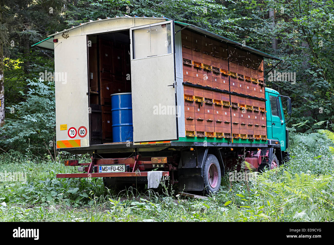Beehives built into lorry parked in forest, Cerknica, Slovenia Stock ...