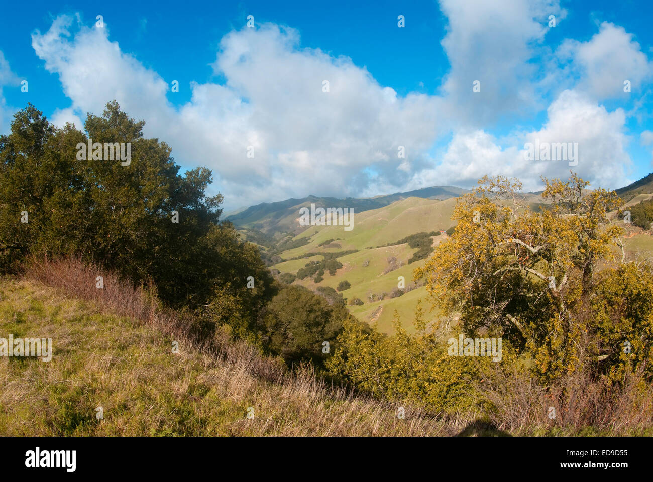California hillside hi-res stock photography and images - Alamy