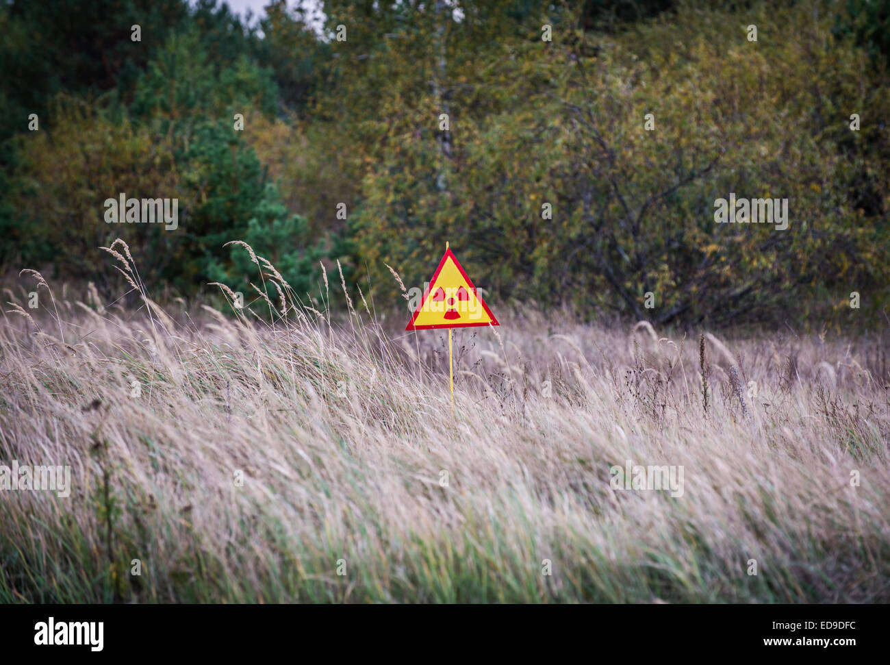 Radiation sign in Chernobyl Nuclear Power Plant Zone of Alienation on ...