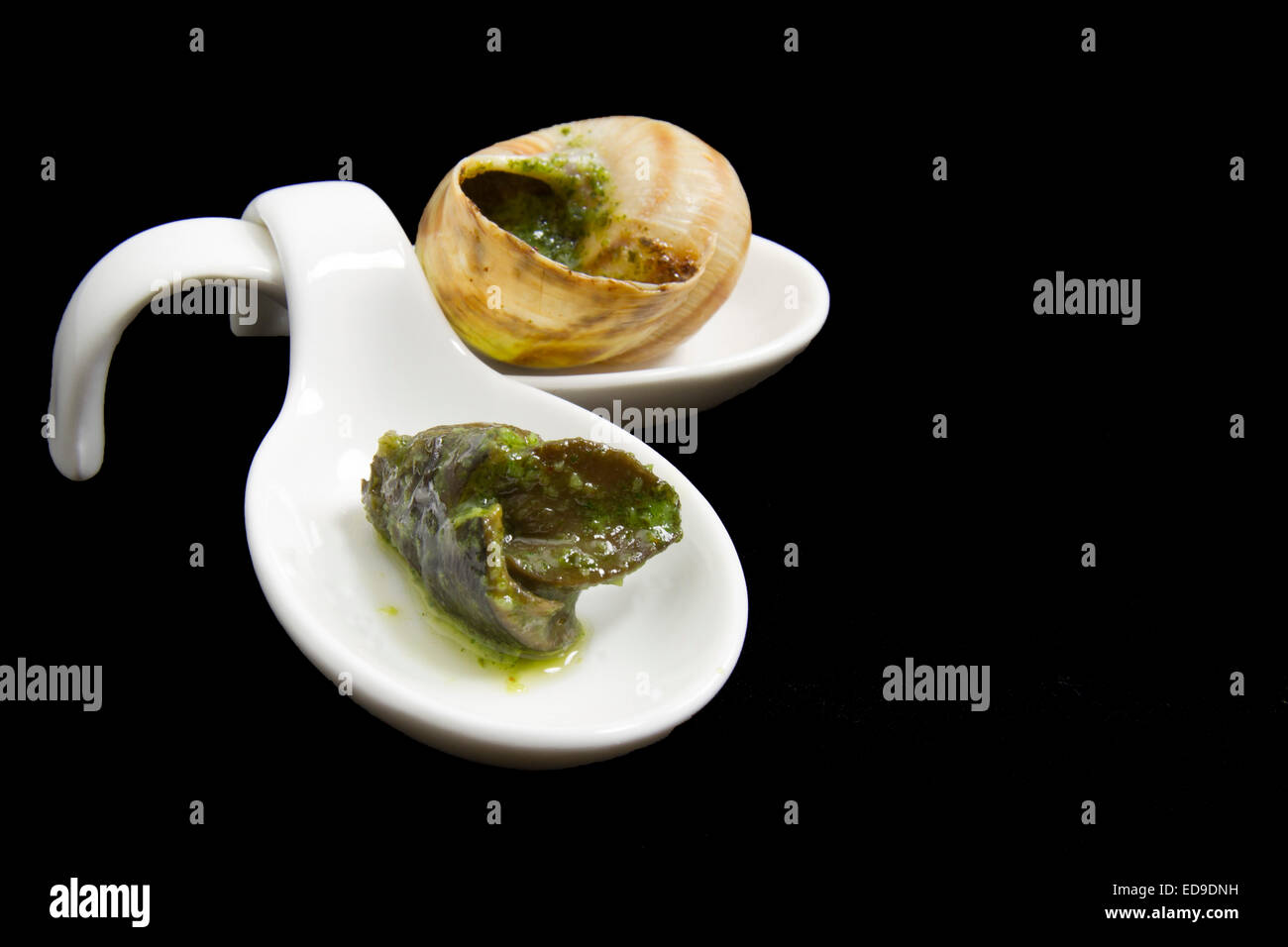 Escargot baked in butter and parsley in white serving spoon with shell ...