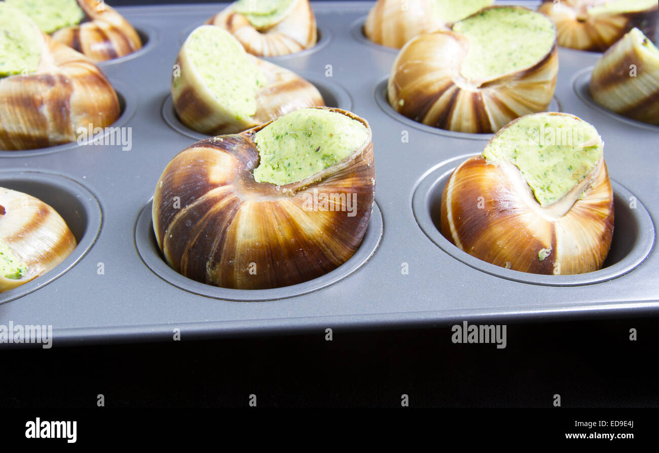 Escargot in shells stuffed with butter and parsley in mini muffin tins ...