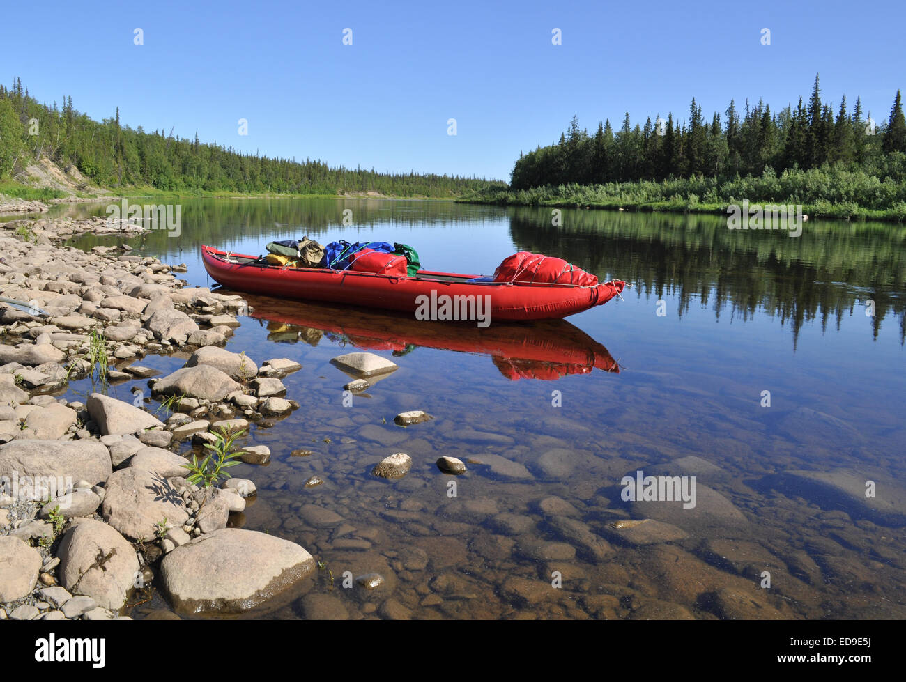 Taiga river Paga, Russia, the Polar Urals. Virgin Komi forests, red ...