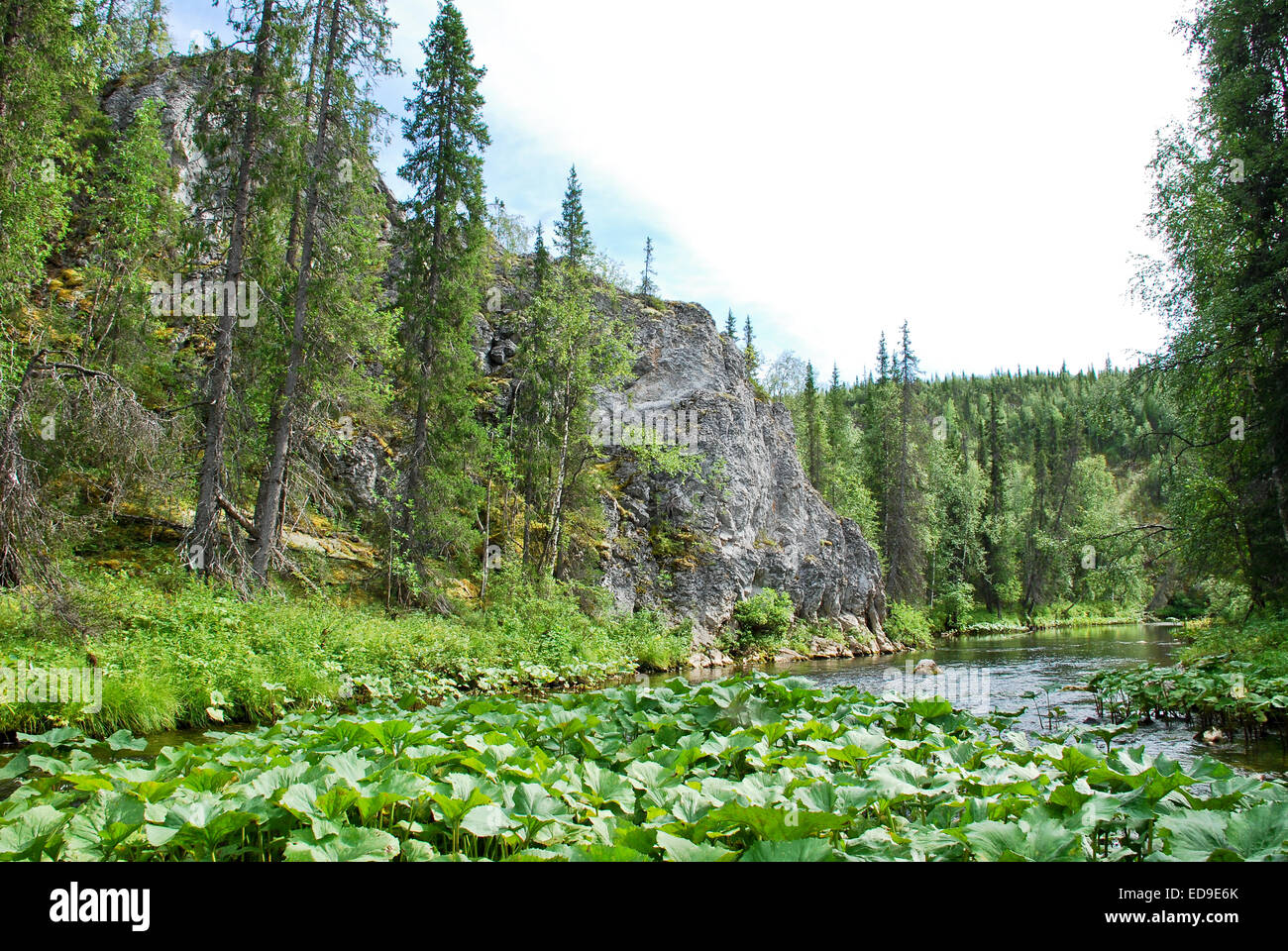 Rocks on the river Big Sarjuga. Virgin Komi forests, taiga in the Ridge ...