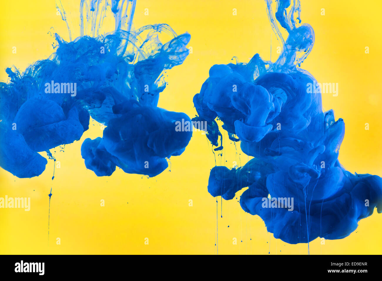 Water project hi-res stock photography and images - Alamy