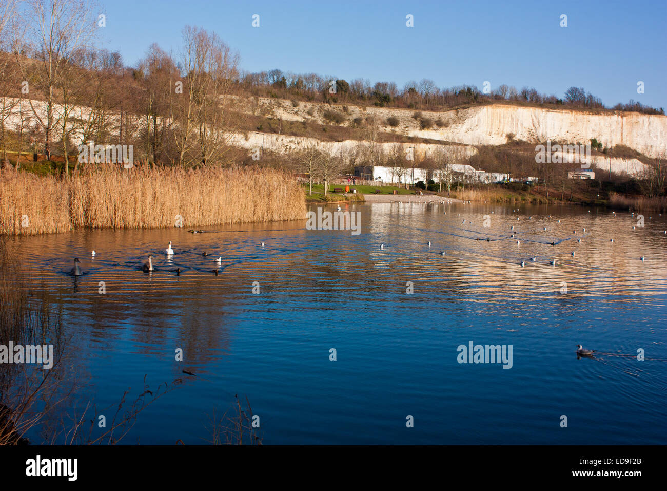The beautiful lake and cliffs around Bluewater in North Kent Stock ...