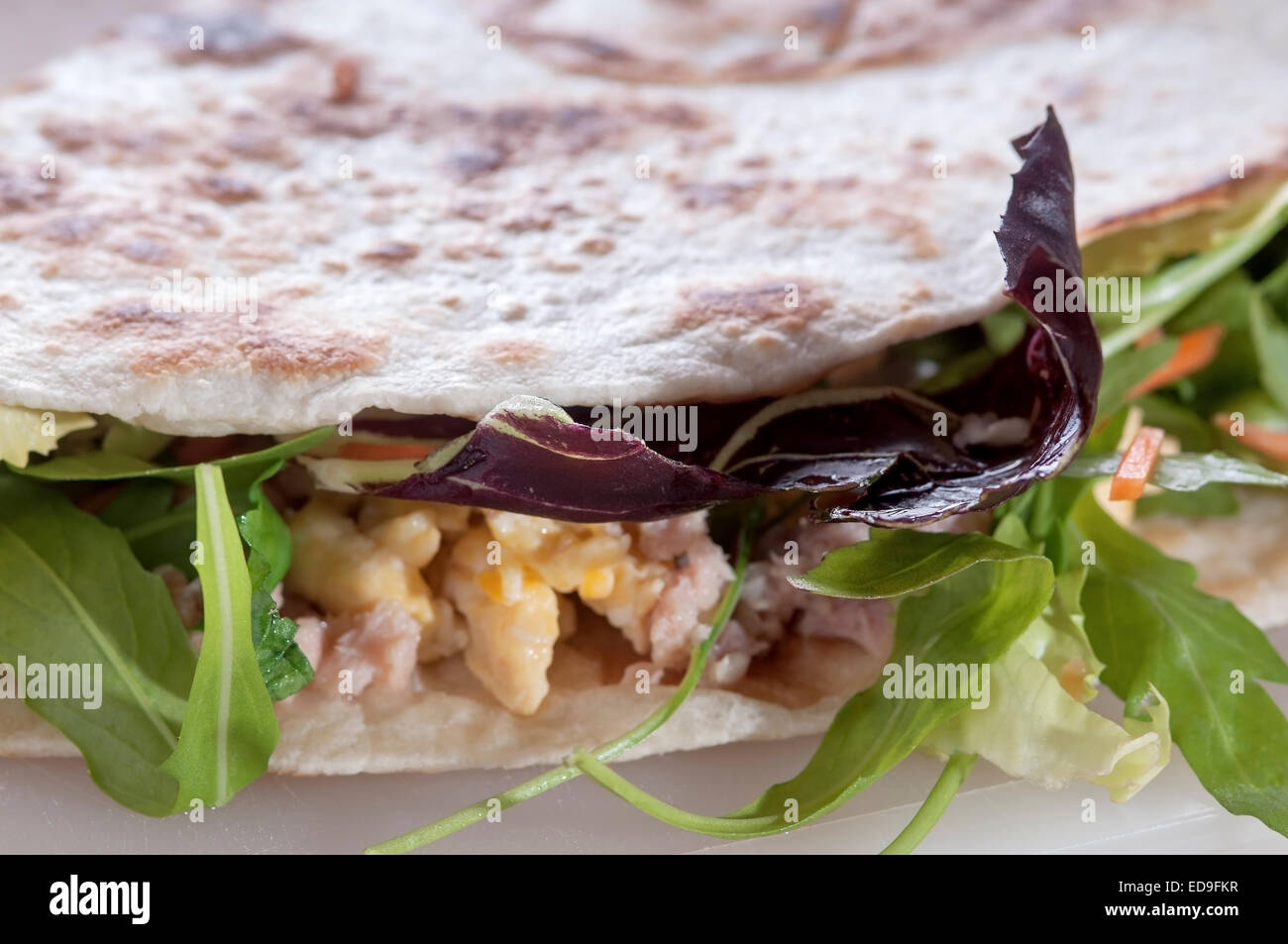 flat bread with tuna eggs and lettuce typical Italian food in northern ...
