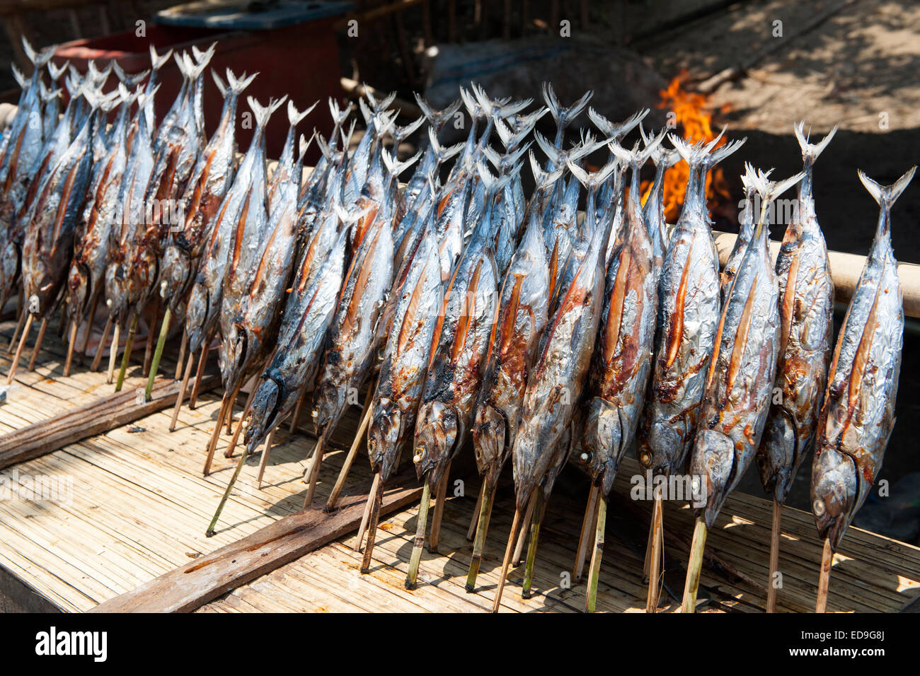 Cakalang fish on sale at a roadside stall between the towns Maumere and ...