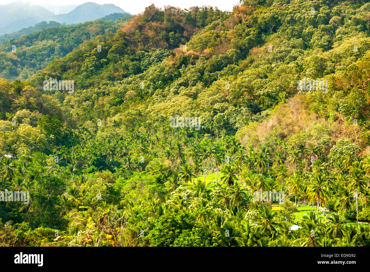 Indonesia nature landscape hi-res stock photography and images - Alamy