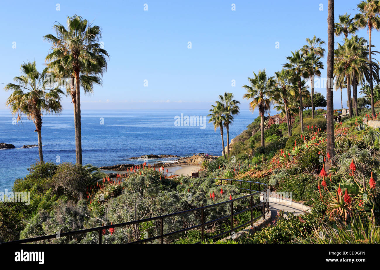 Laguna beach California overlooking the Pacific ocean Stock Photo - Alamy