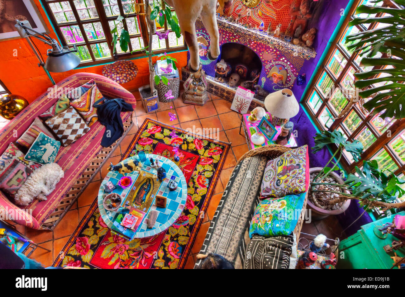 Anado mcdlauchlin hi-res stock photography and images - Alamy