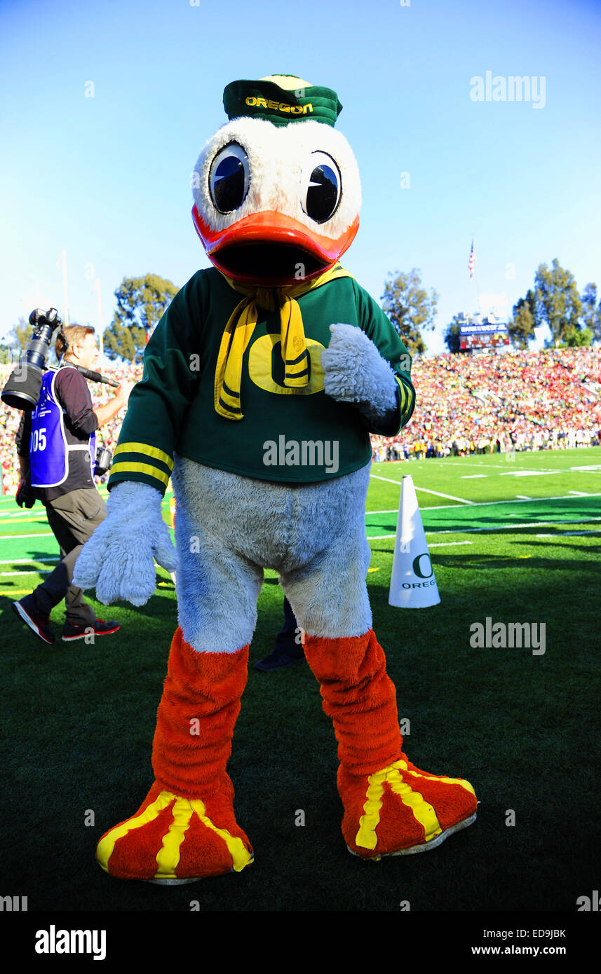 Oregon Ducks Mascot High Resolution Stock Photography and Images - Alamy