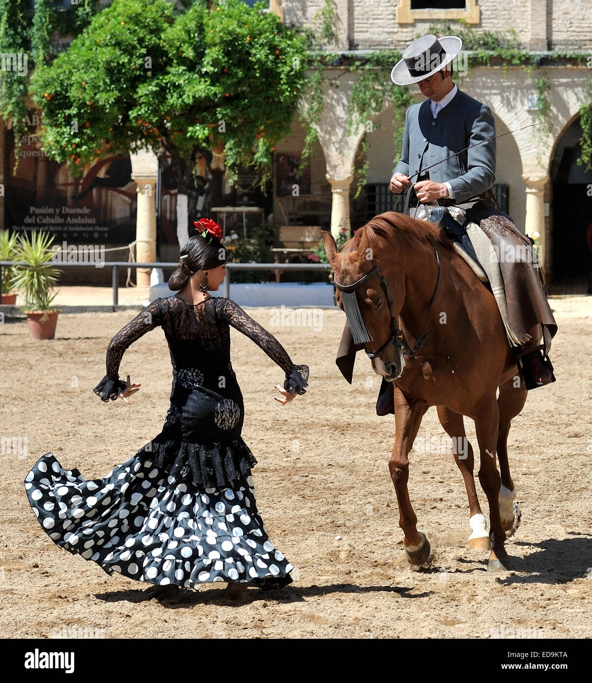 Royal horse riding stables hi-res stock photography and images - Alamy