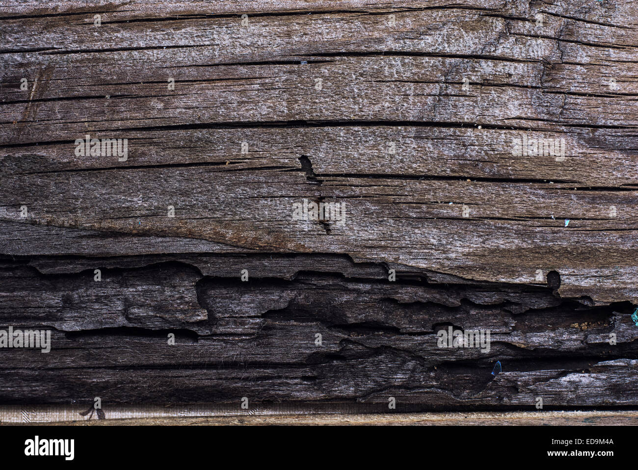 old wooden texture with cracks and scuffsw Stock Photo - Alamy