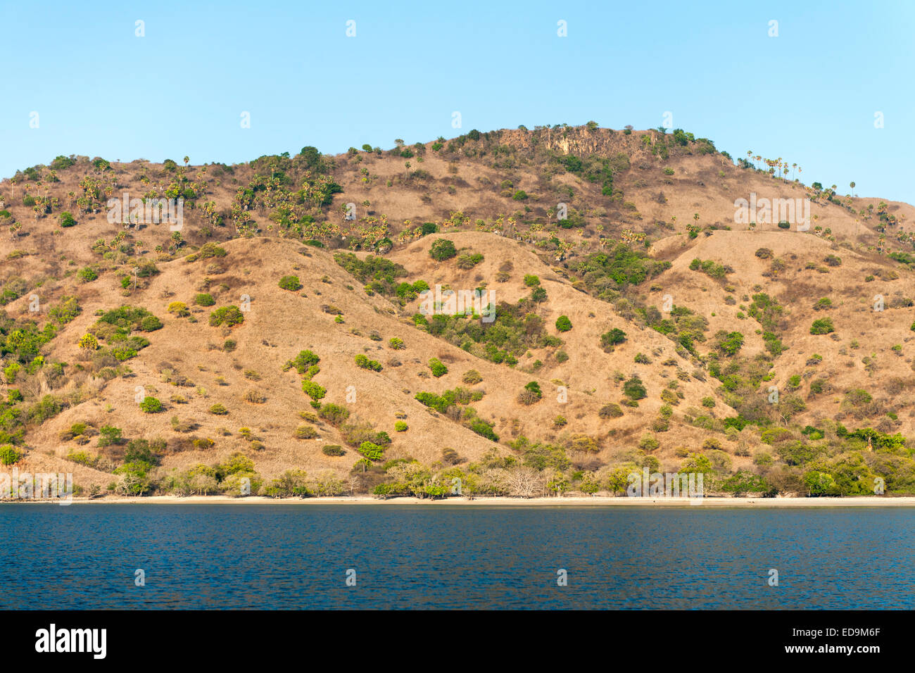 Coastline and landscape of Komodo island off the coast of the much ...