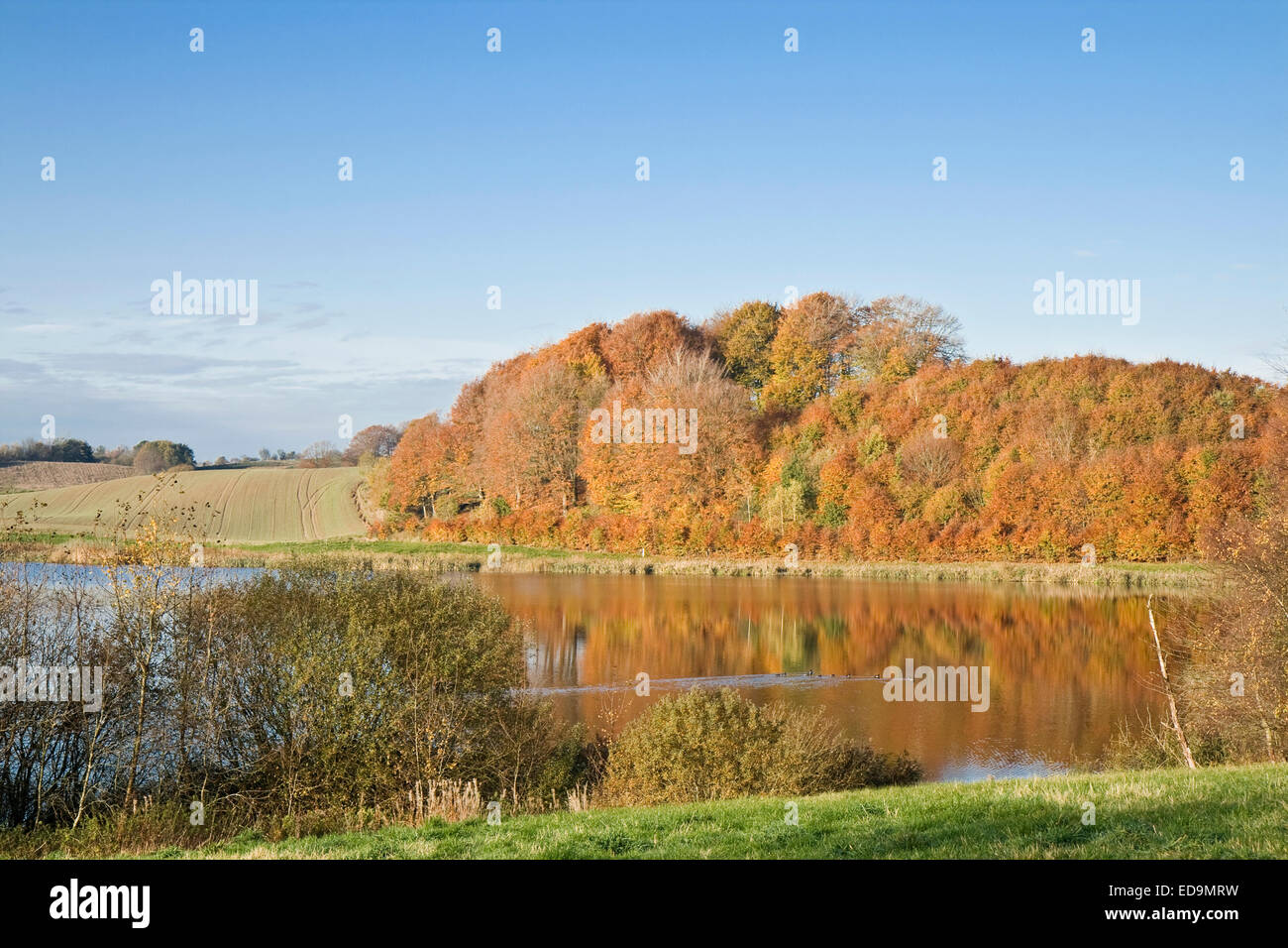 Lake at autumn. Shot taken near Skanderborg, Denmark Stock Photo - Alamy