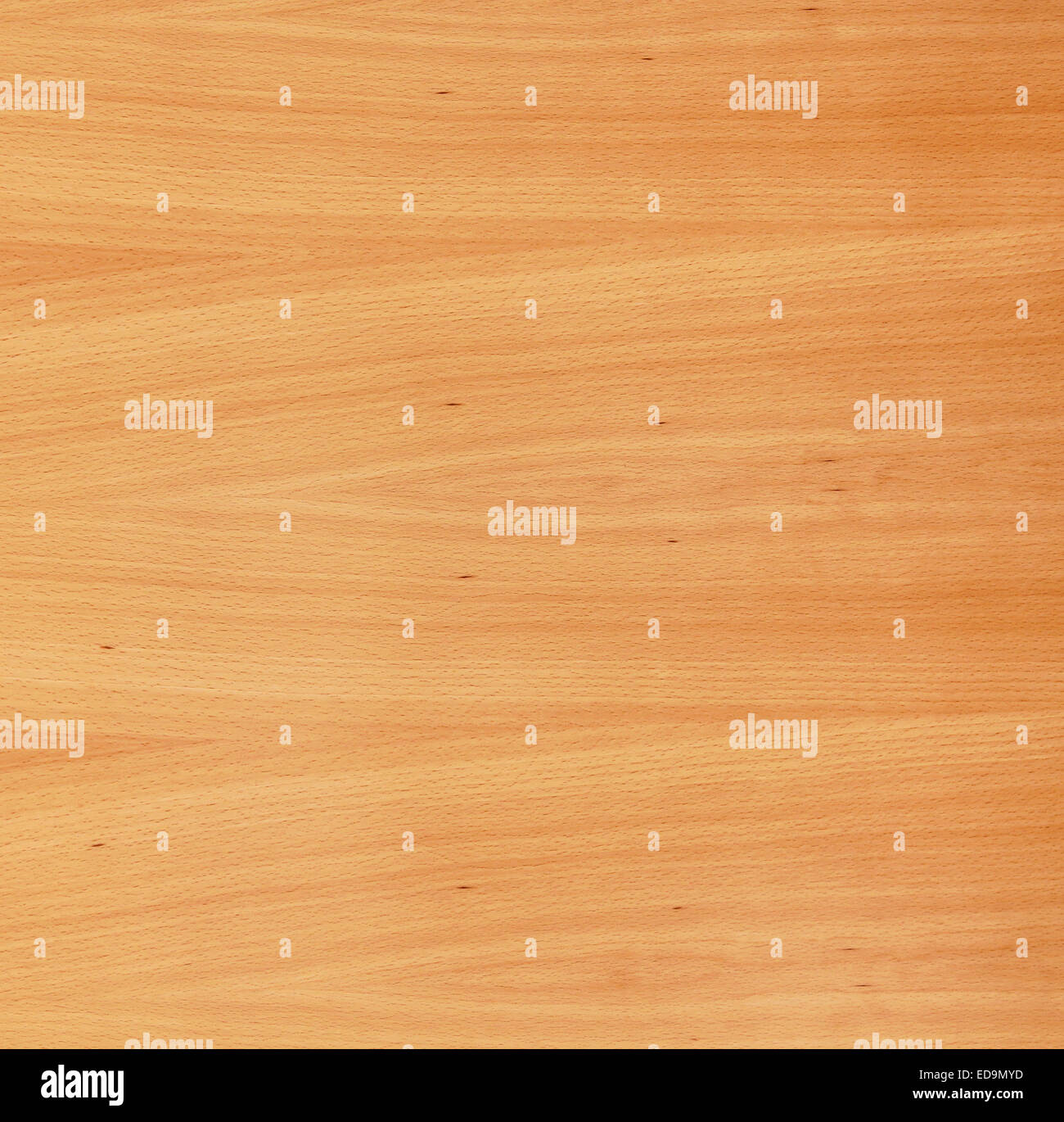 Light brown wood texture with natural patterns as background Stock ...