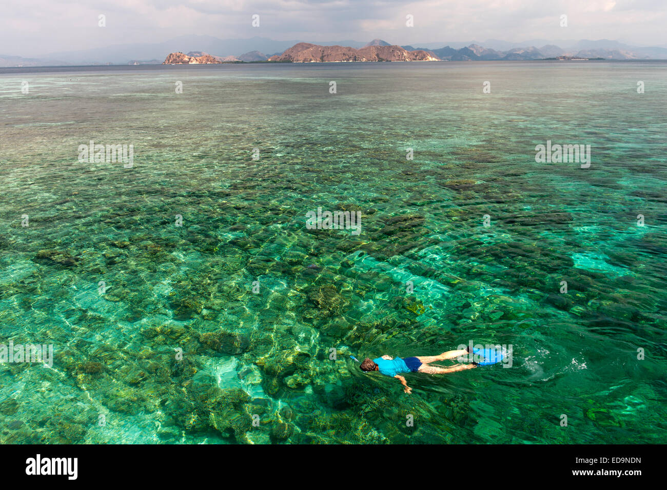 A tourist snorkeling in the waters off the western coast of Flores ...