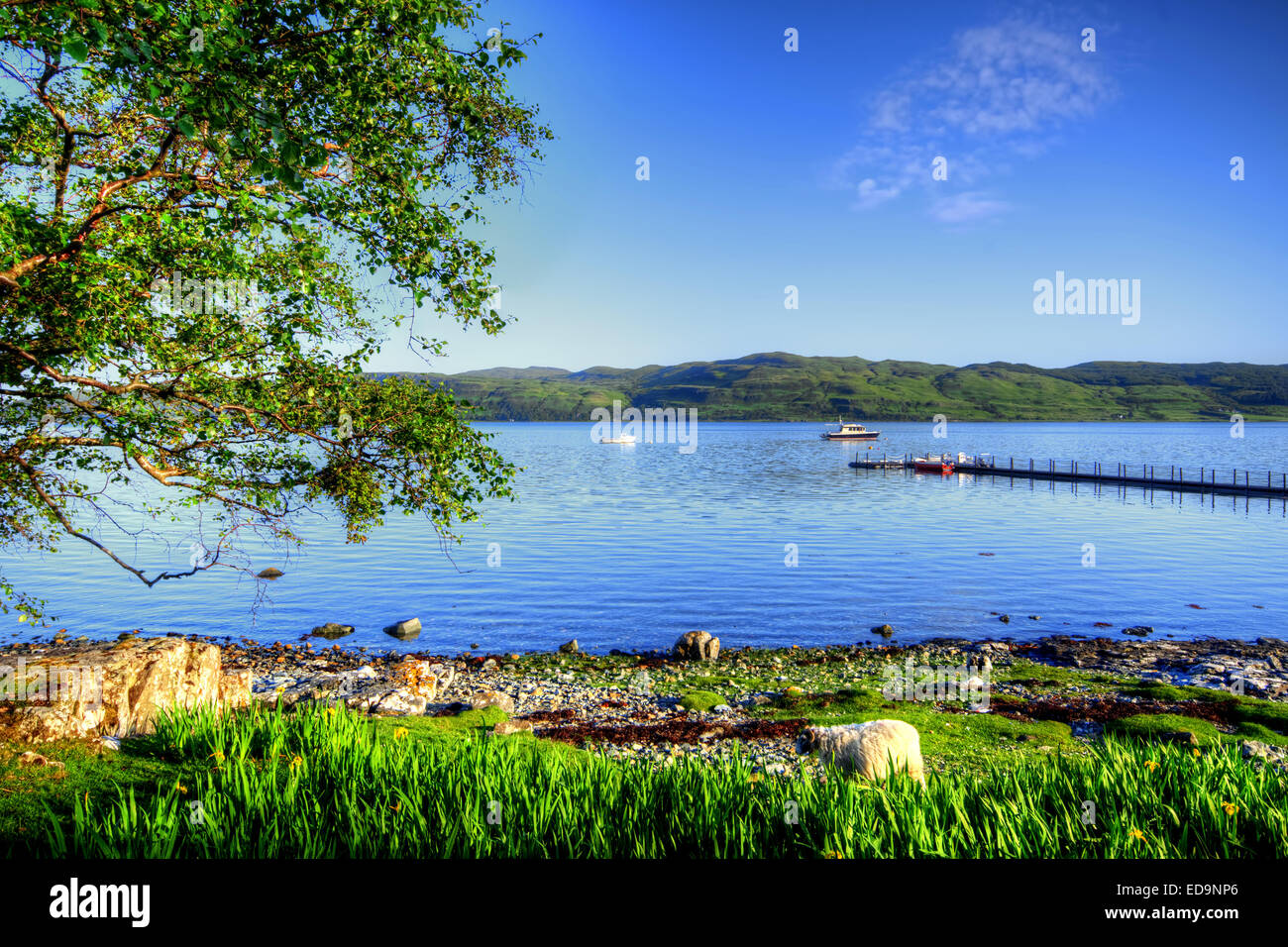 Loch na Keal on the Isle of Mull, Scotland Stock Photo - Alamy