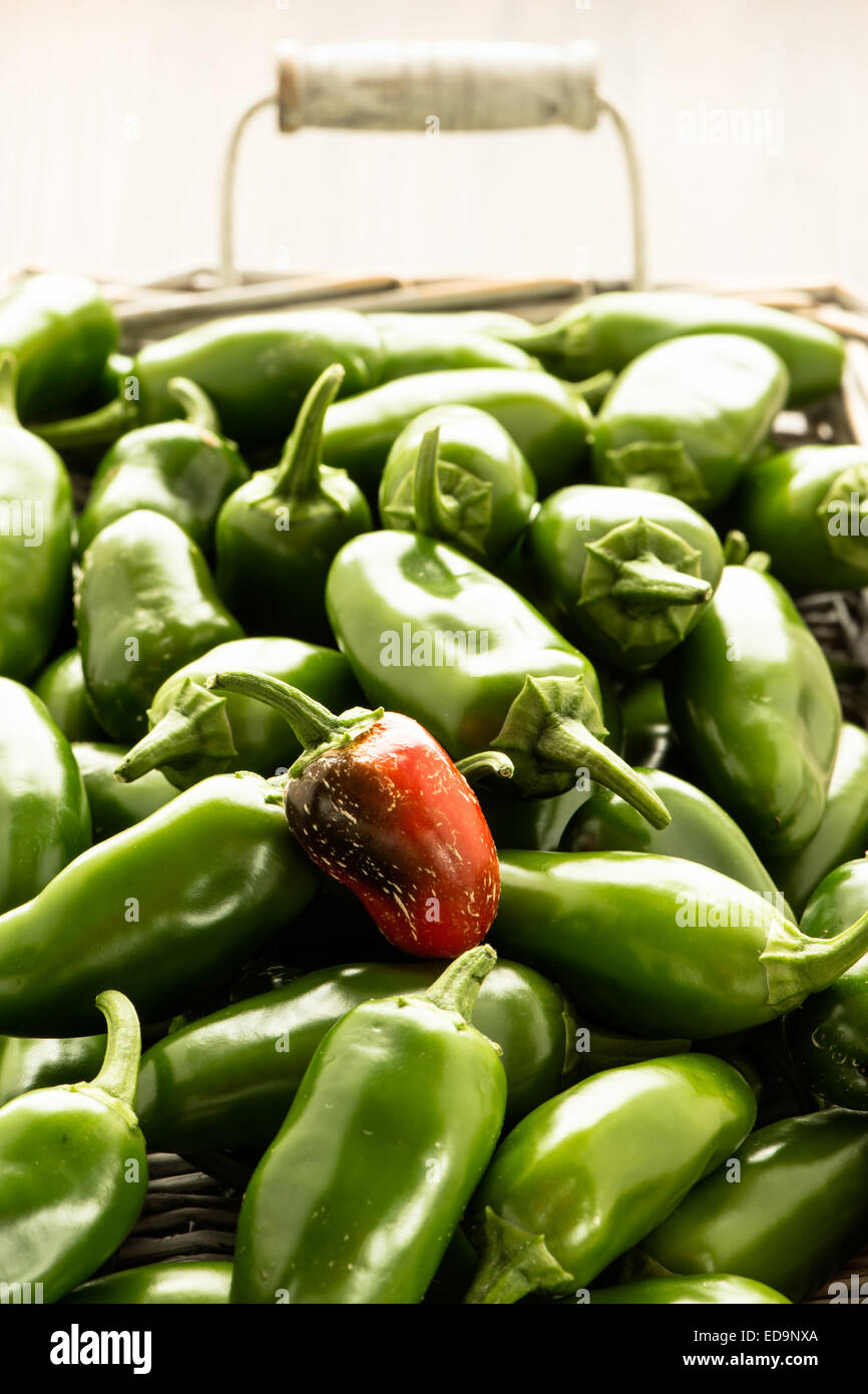 Chilicote hi-res stock photography and images - Alamy