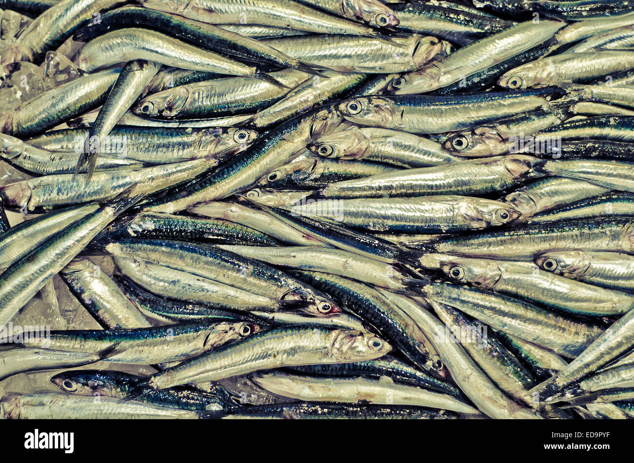 Fish market in small hi-res stock photography and images - Alamy
