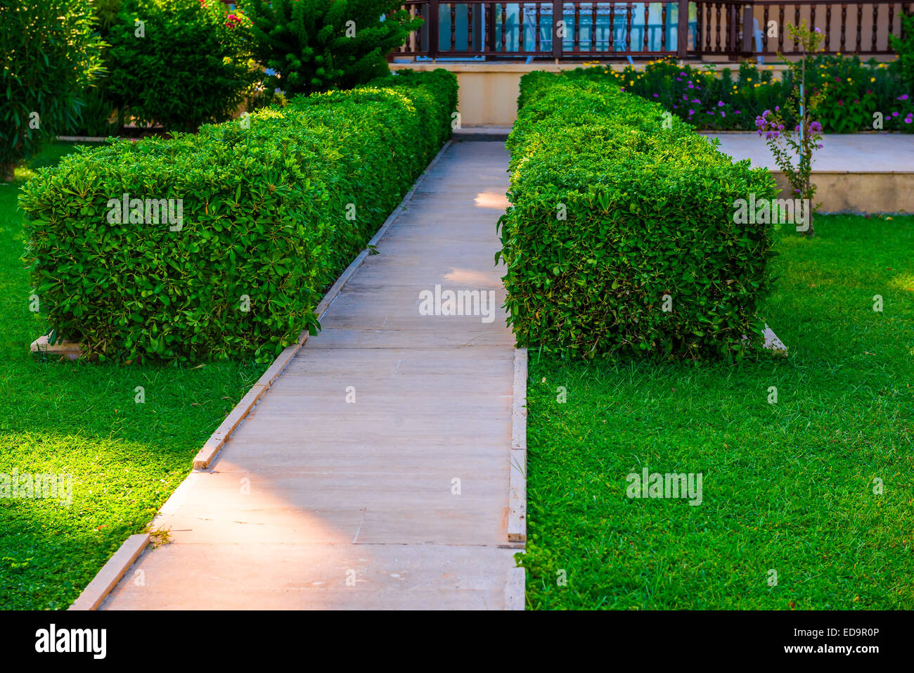 Path leading to house hi-res stock photography and images - Alamy