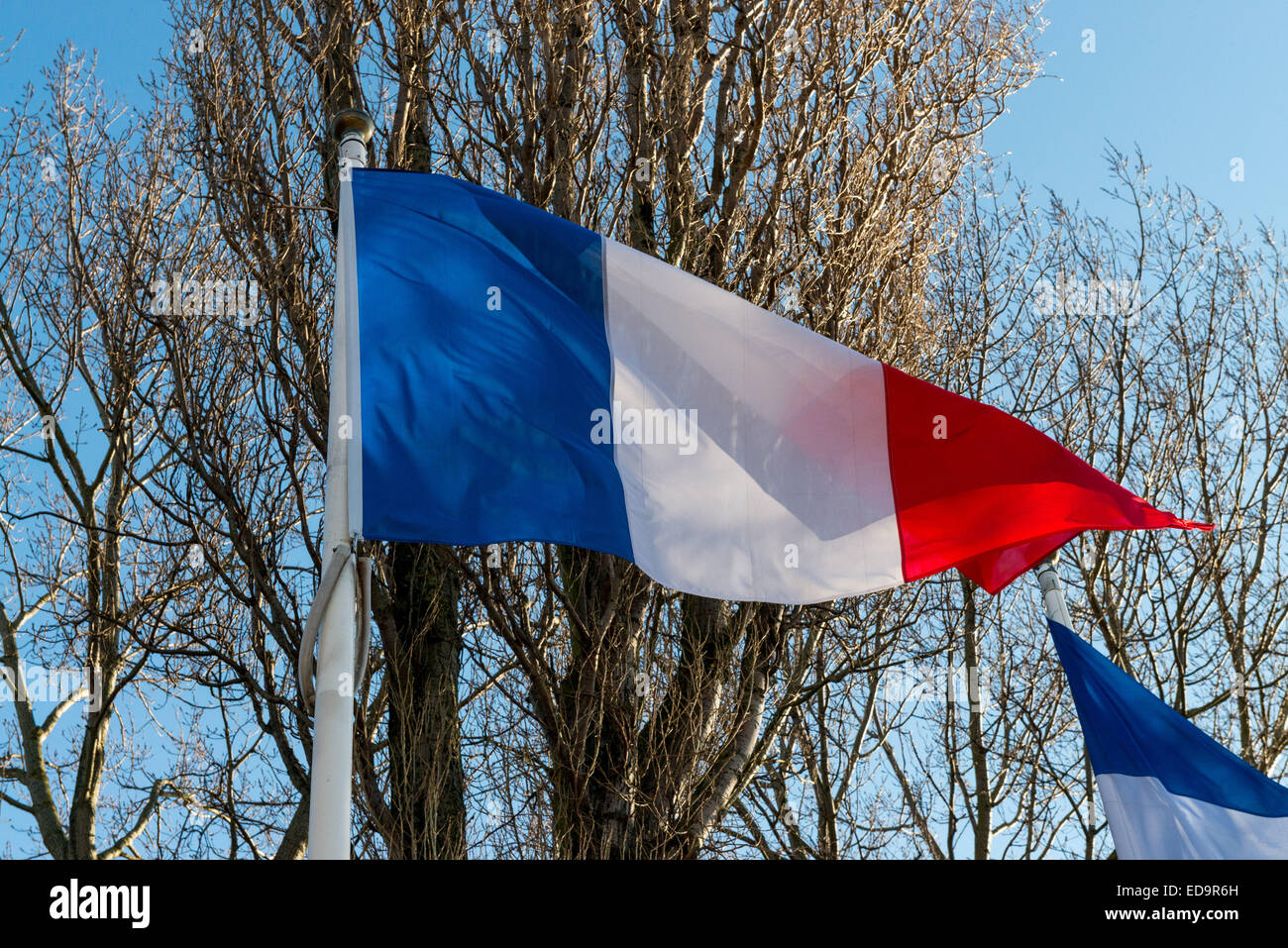French national flag Stock Photo - Alamy