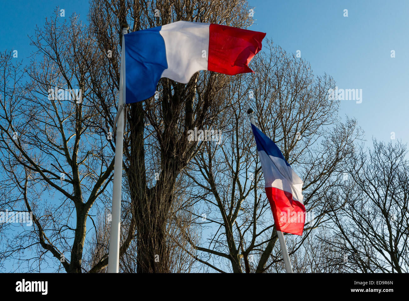 French national flag Stock Photo - Alamy