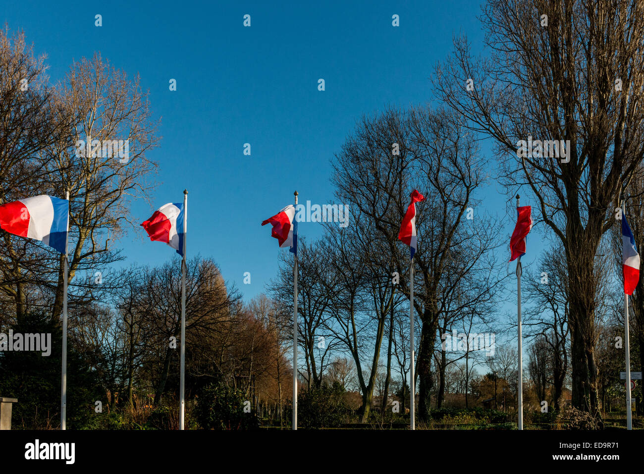 French national flag Stock Photo - Alamy