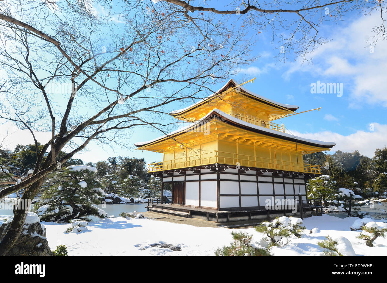 Golden Temple Kyoto Winter