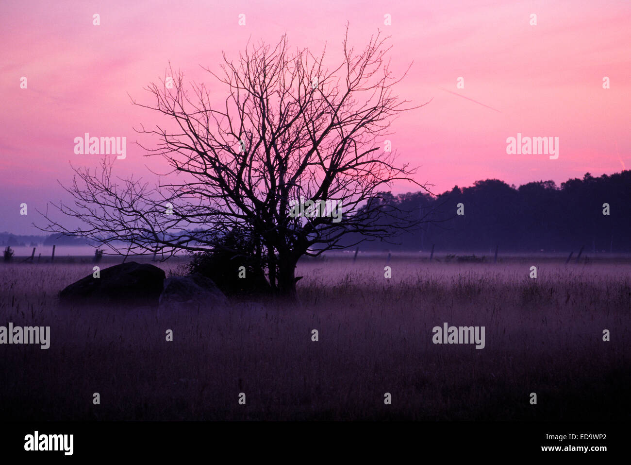 The saturated environment of foreign countries hi-res stock photography ...