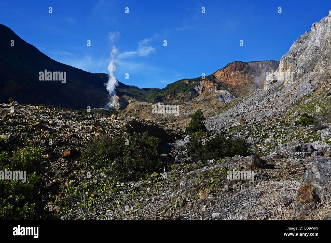 Mount Papandayan's crater Stock Photo - Alamy
