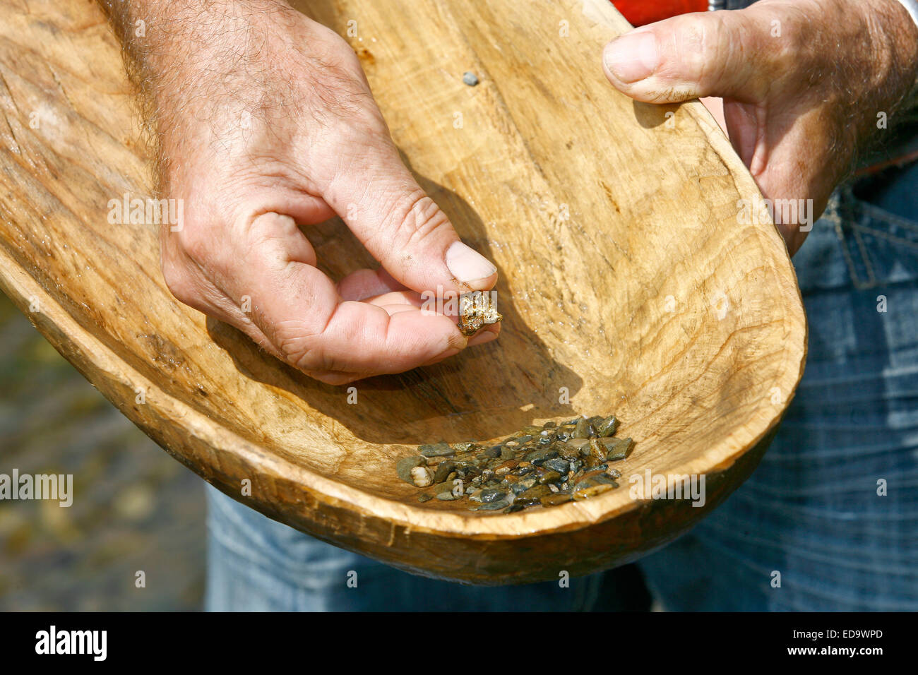 Gold Panning with Old Wooden Pan Stock Photo - Alamy