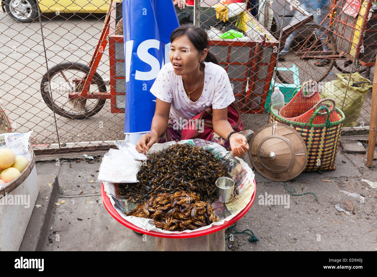 Fried Insect Vendor, Downtown Yangon Market Stock Photo - Alamy