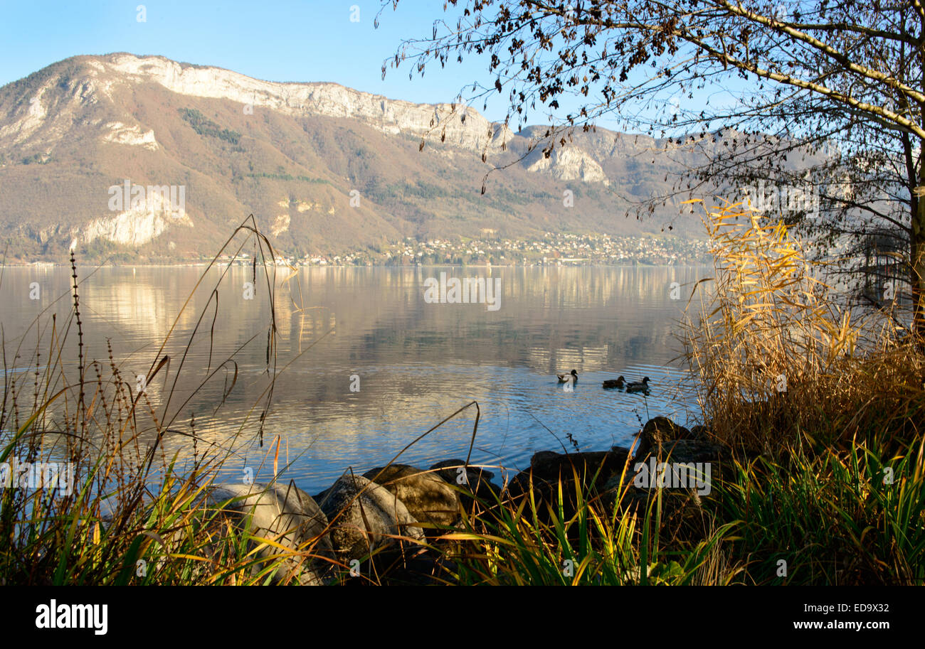 Lake Annecy in France in autumn at sunset Stock Photo - Alamy