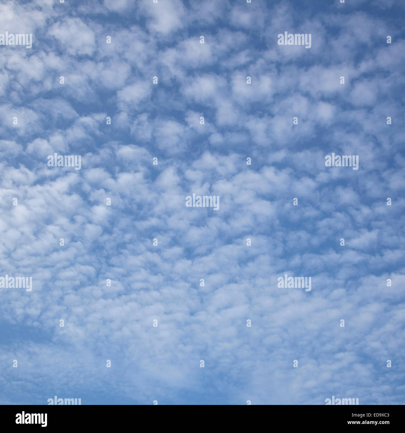 Regular space hi-res stock photography and images - Alamy