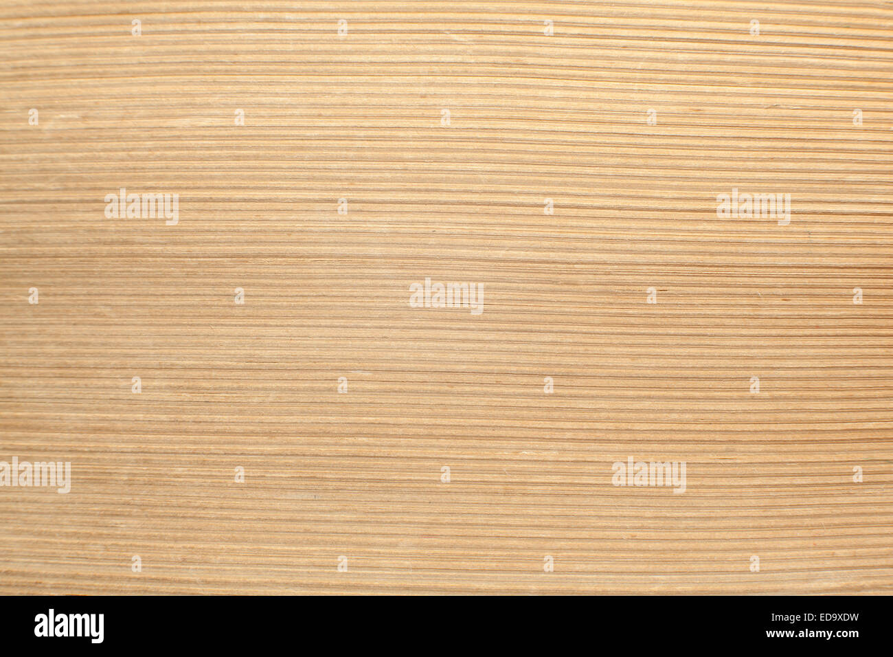 closeup of pages in very old and thick closed book Stock Photo - Alamy