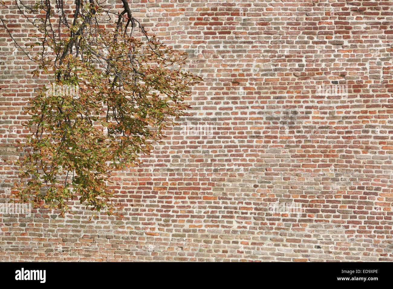 Blank colorful brick wall hi-res stock photography and images - Alamy